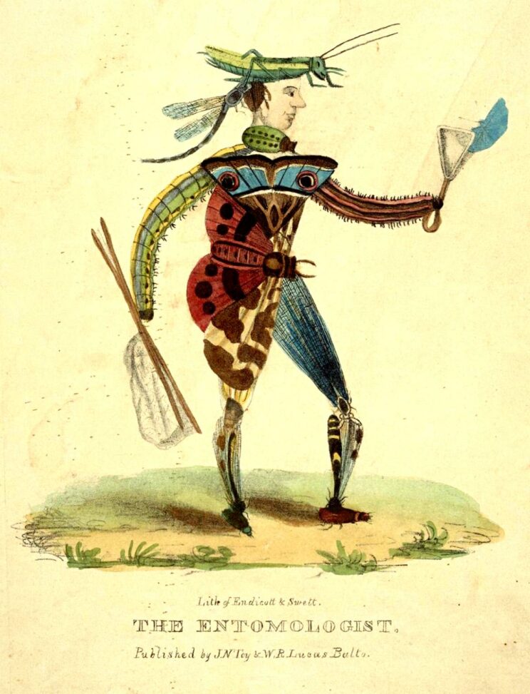 GEORGE SPRATTS BIZARRES UNIVERSUM – Flaneurin